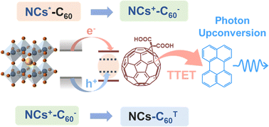 Electron transfer-mediated triplet sensitization from CsPbI3 ...