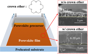 Fast fabrication of μm-thick perovskite films by using a one-step ...