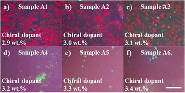Spontaneous formation of liquid-crystalline nuclei in blue-phase liquid ...