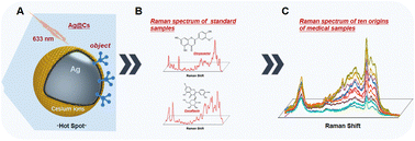 A new method for rapid identification of traditional Chinese medicine ...