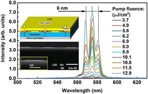 Broad-band self-injection organic laser amplifier based on a DBR ...