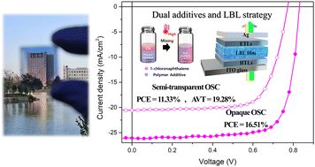 Distribution of dual additives enables efficient semi-transparent layer-by-layer architecture of ...