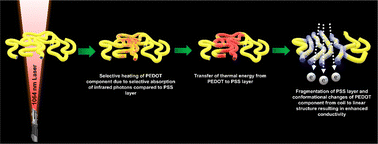 Interface engineering towards high conductivity of a model organic ...