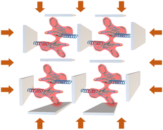 A rigid-flexible steric blocking strategy for highly bright and ...