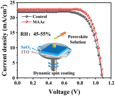 Additive-regulated one-step dynamic spin-coating for fabricating high ...