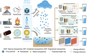 Highly effective nanoparticle removal in plant-based water filters ...