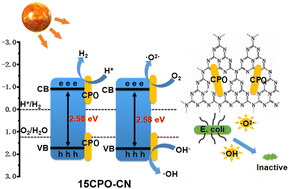 Construction of Co3(PO4)2/g-C3N4 nanowire composites to boost visible ...