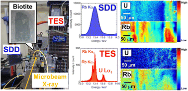 Application of transition-edge sensors for micro-X-ray fluorescence ...