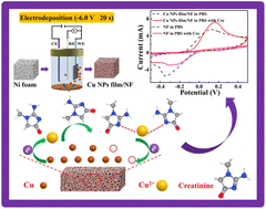 Rapid electrodeposition of Cu nanoparticle film on Ni foam as an ...