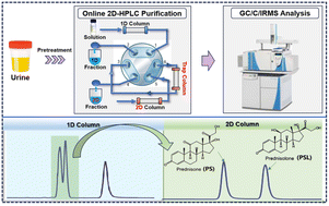 Two-dimensional high performance liquid chromatography purification of ...