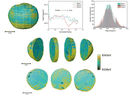 Transmission X-ray microscopy-based three-dimensional XANES imaging - Analyst (RSC Publishing)