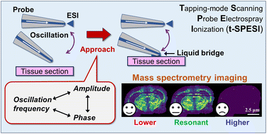 Probe oscillation control in tapping-mode scanning probe electrospray ...