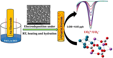 Understanding electrocatalytic mechanisms and ultra-trace uranyl ...