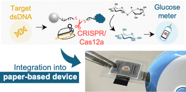 Paper-based analytical device for point-of-care nucleic acid ...