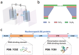 Utilizing solid-state nanopore sensing for high-efficiency and precise ...