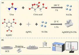 A novel electrochemiluminescent sensor based on AgMOF@N-CD composites ...