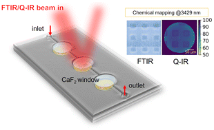 Infrared imaging with visible light in microfluidic devices: the water ...