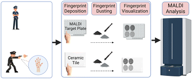 Exploring gunshot residue detection in fingerprints by functionalized ...