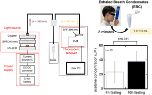 A handheld biofluorometric system for acetone detection in exhaled ...