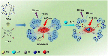 A novel light-harvesting ZIF-9-TCPP as a promising FRET-based ...