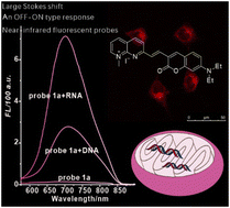 Near-infrared fluorescent probes based on naphthyridine derivatives for ...