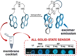 A bis-pyrene polyamine receptor for fast optical detection of ...