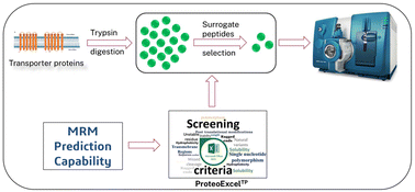 Highly sensitive LC-MRM workflow for quantitation of efflux ...