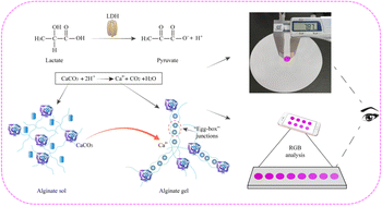 Sodium alginate hydrogelation mediated paper-based POCT sensor for ...