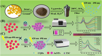 Construction of a three-mode sensor based on gold nanoparticles and carbon quantum dots as ...