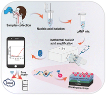 A LAMP-based hydrogen ion selective electrochemical sensor for highly ...