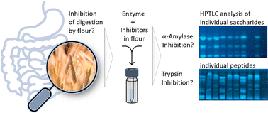 Screening of α-amylase/trypsin inhibitor activity in wheat, spelt and ...