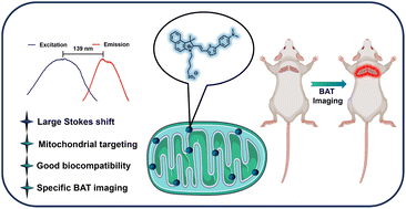 A hemicyanine-based near-infrared fluorescent probe with large Stokes ...