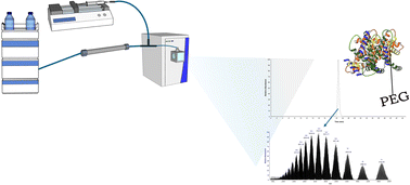 Dimethyl sulfoxide as a gas phase charge-reducing agent for the ...