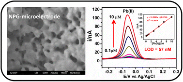 A home-made nanoporous gold microsensor for lead(ii) detection in ...