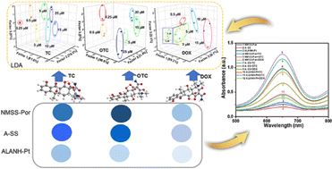 Construction of colorimetric sensor arrays using steel slag-based ...
