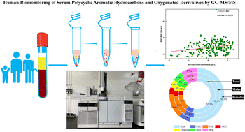 Human biomonitoring of serum polycyclic aromatic hydrocarbons and ...