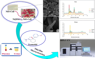 Nickel oxide nanoparticles modified with dimethylglyoxime grafted on a ...