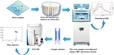 Single reaction chamber microwave digestion coupled with ICP-MS for the ...