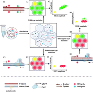 A platform for precise quantification of gene editing products based on ...