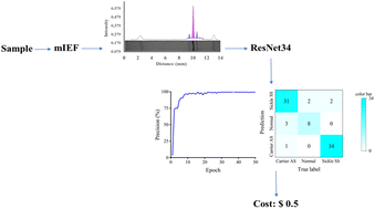 Deep learning ResNet34 model-assisted diagnosis of sickle cell disease ...