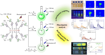 The preparation of a fluorescent dual-modality nanosensor for the ...