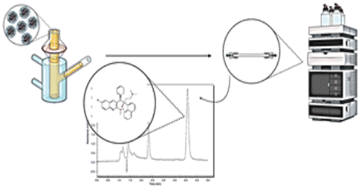 A sensitive, rapid and cost-effective RP-HPLC-UV method for detection ...