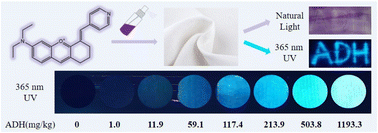 Quantification and visual inspection of adipic dihydrazide in textile ...