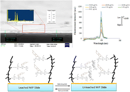 Rapid mimetic micro-contact nano-fluorosensor based on molecularly ...