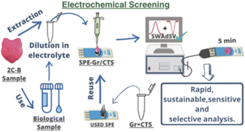 Environmentally friendly screen-printed electrodes for the selective ...