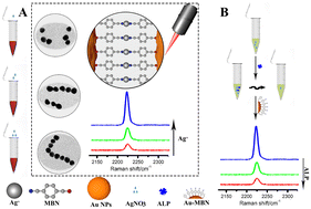 Silver ion-regulated reliable and rapid detection technique for ...