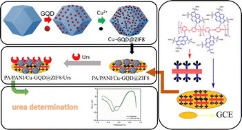 Sulfonated-polypyrene aniline/polyaniline composite fortified with Cu ...