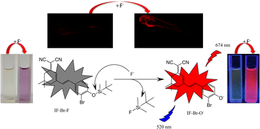 A novel fluorescent probe for efficient detection of fluoride ions in ...