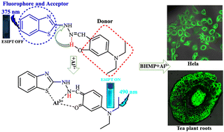 A simple fluorescent probe for selectively detecting Al3+ and F− in ...