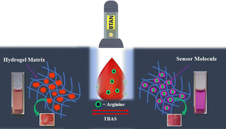 A highly selective solution and film based sensor for colorimetric ...